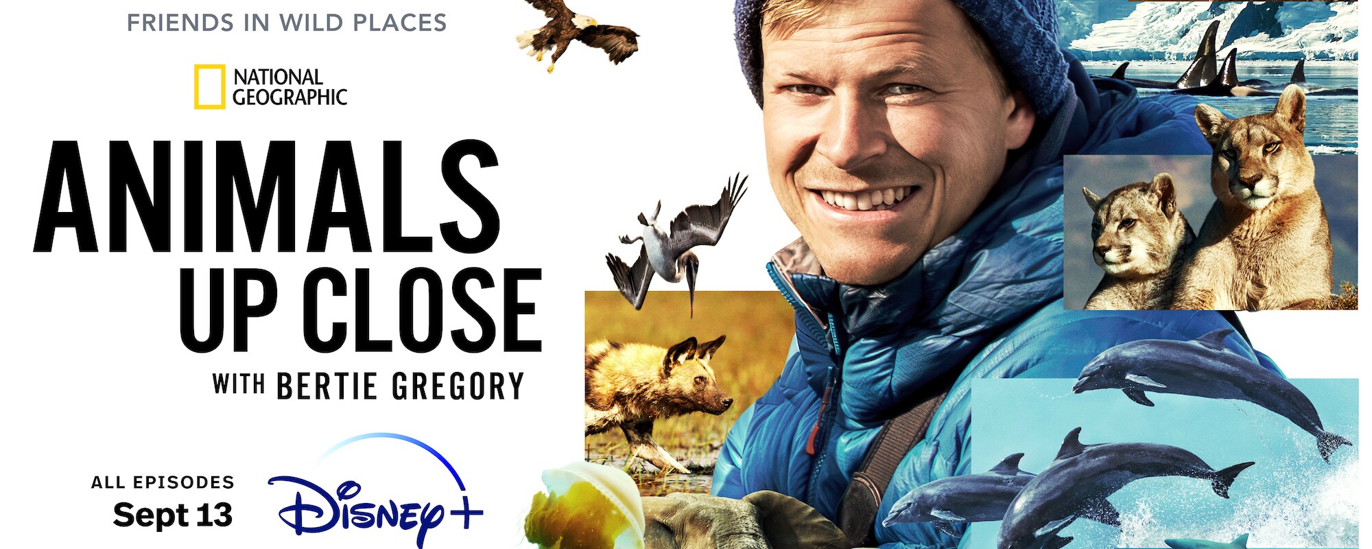 National Geographic Explorer And Award-Winning Filmmaker Bertie Gregory ...