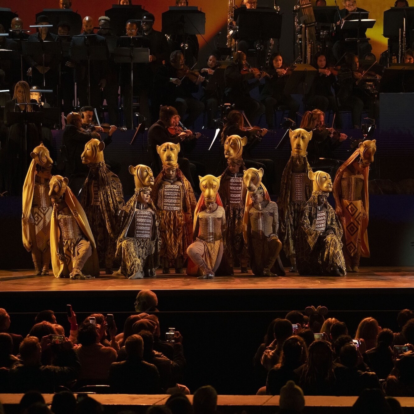 “The Lion King At The Hollywood Bowl” Concert Special Debuts February 7 ...
