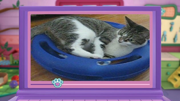 Stuffy's Pet Vlog #2 | Disney Video