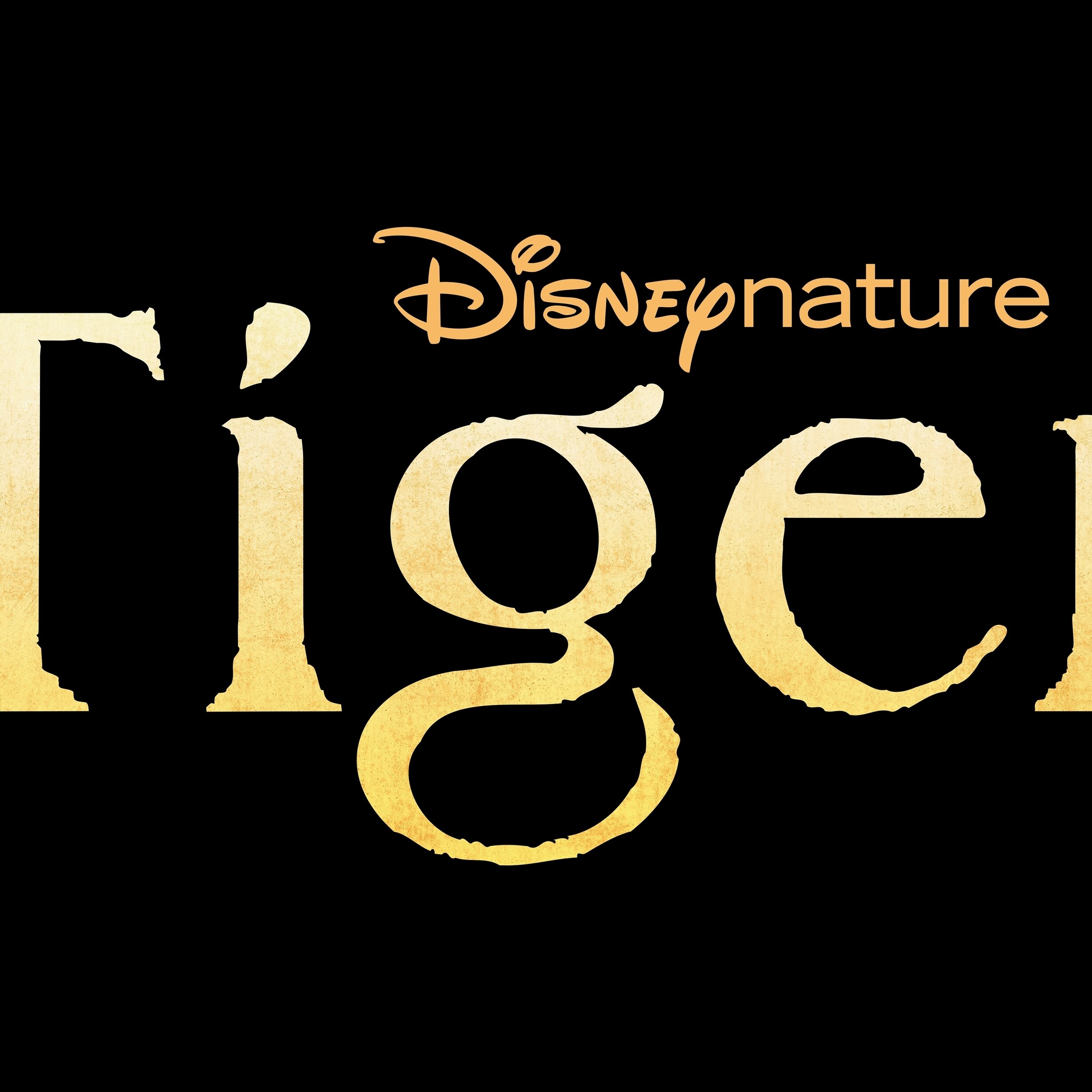 Priyanka Chopra Jonas to Narrate Disneynature’s “Tiger” | Disney Plus Press