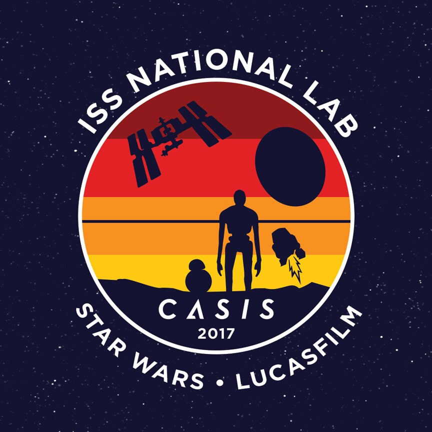 Nasa Patch Outline