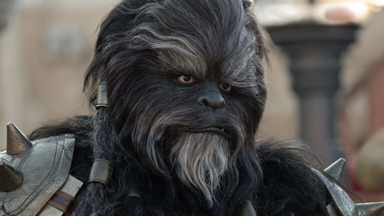 Wookiee Quote