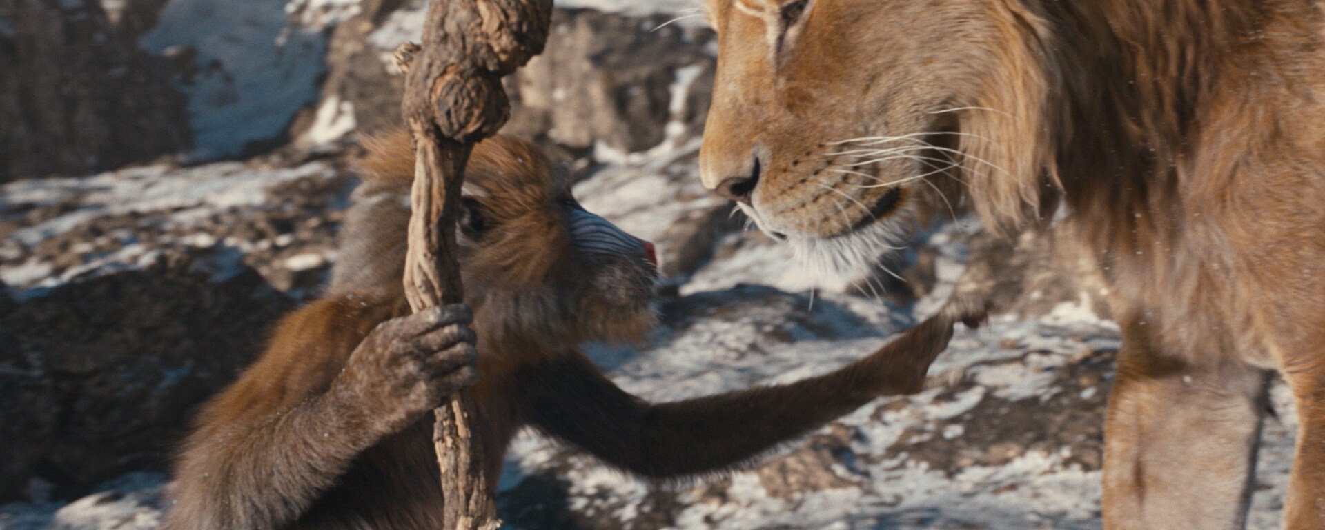 Mufasa: The Lion King – Teaser Trailer, Poster and Cast Roster Now Available for All-New Big ...