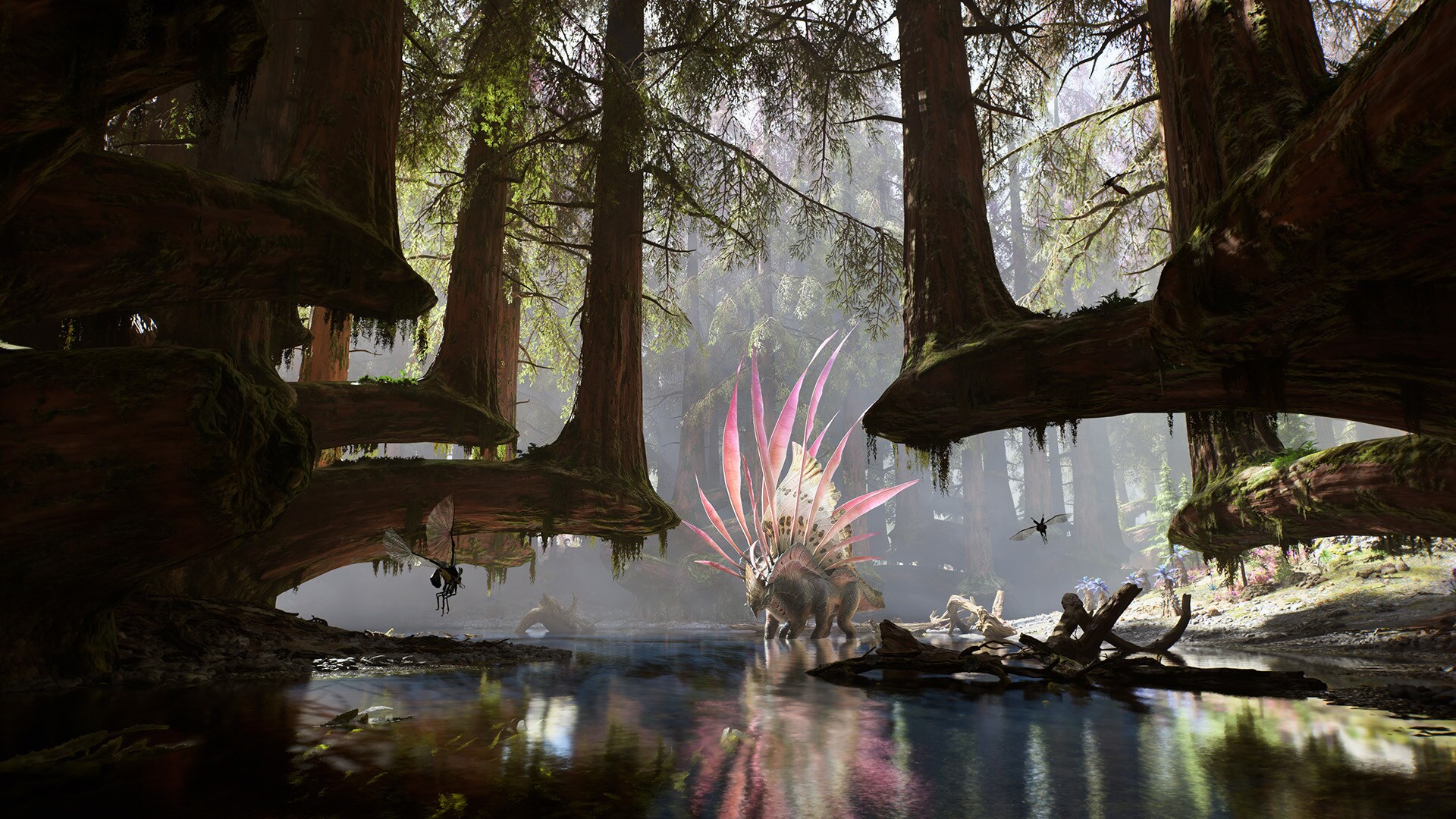 Clouded Forest | Avatar.com