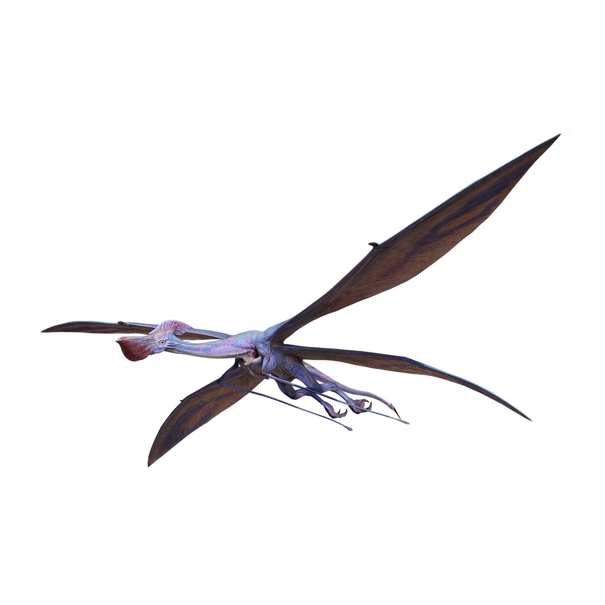 great leonopteryx facts