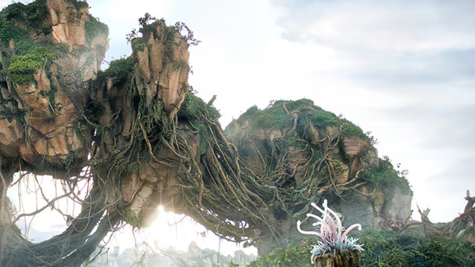 Mo'ara Valley | Avatar.com