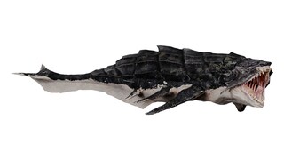 Nalutsa | Avatar.com