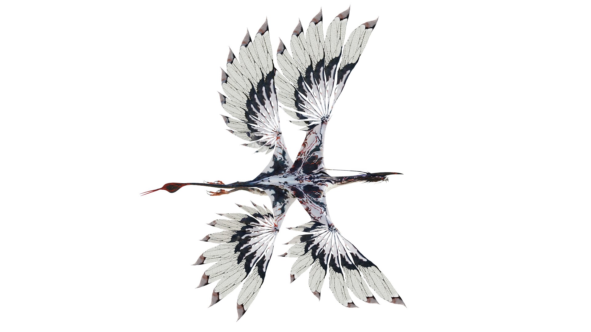 Nightwraith | Avatar.com