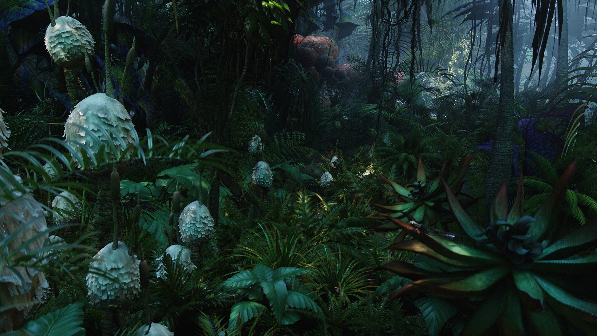 The Omatikaya Rainforest | Avatar.com
