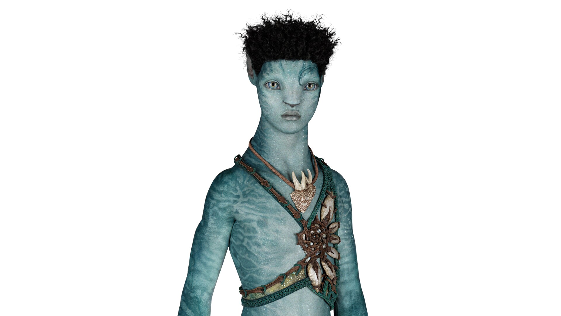 Rotxo | Avatar.com