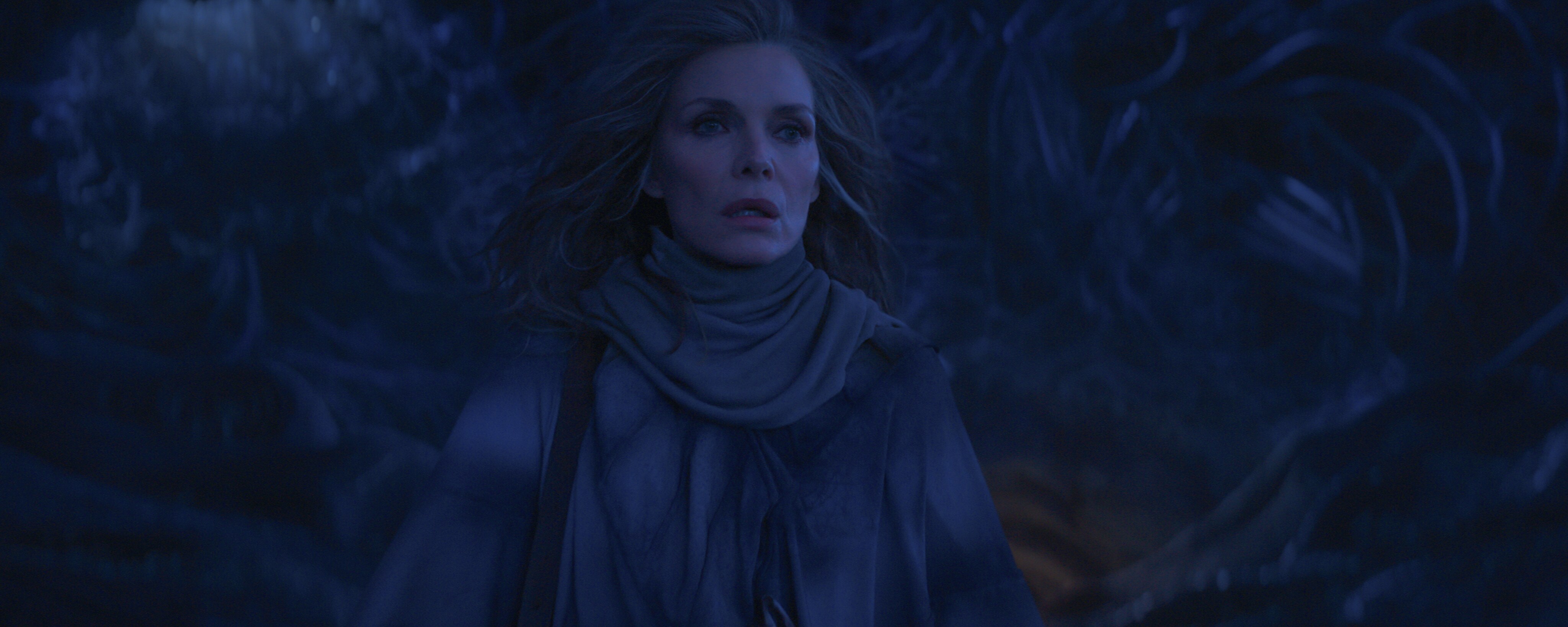 'Homem-Formiga e a Vespa: Quantumania': a ligação entre Michelle ...