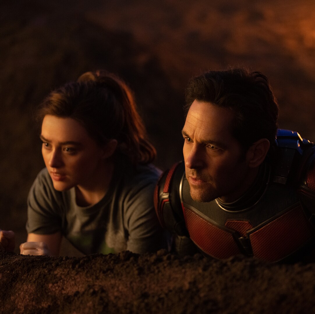 Quem é quem no elenco de 'Homem-Formiga e a Vespa: Quantumania ...