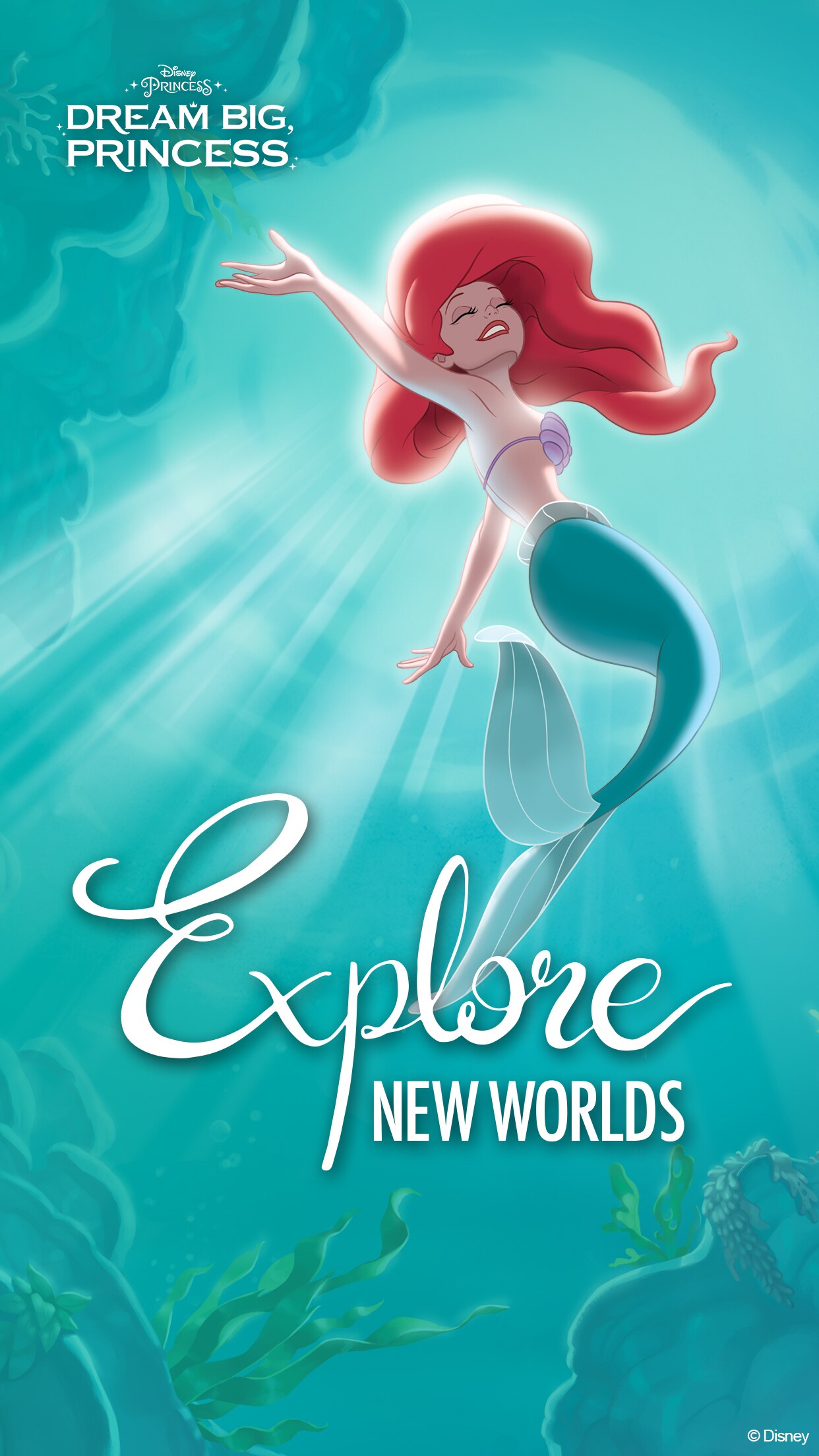 Dream Big Princess Phone Wallpapers Disney Princess Indonesia