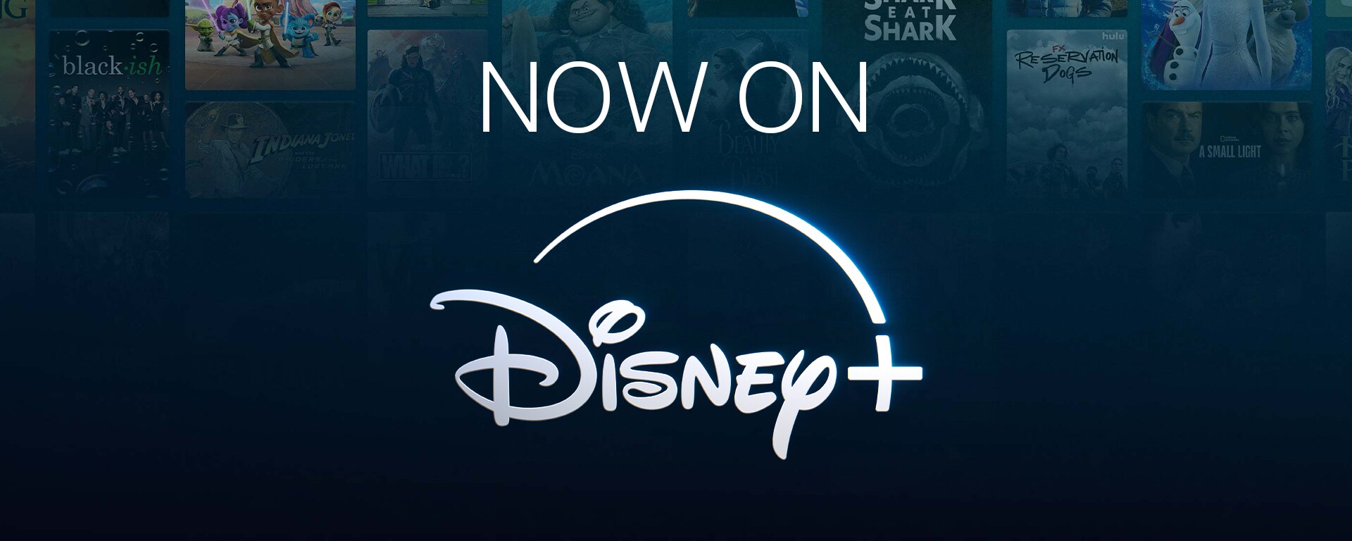 Now On Disney+ — Week of June 28, 2024