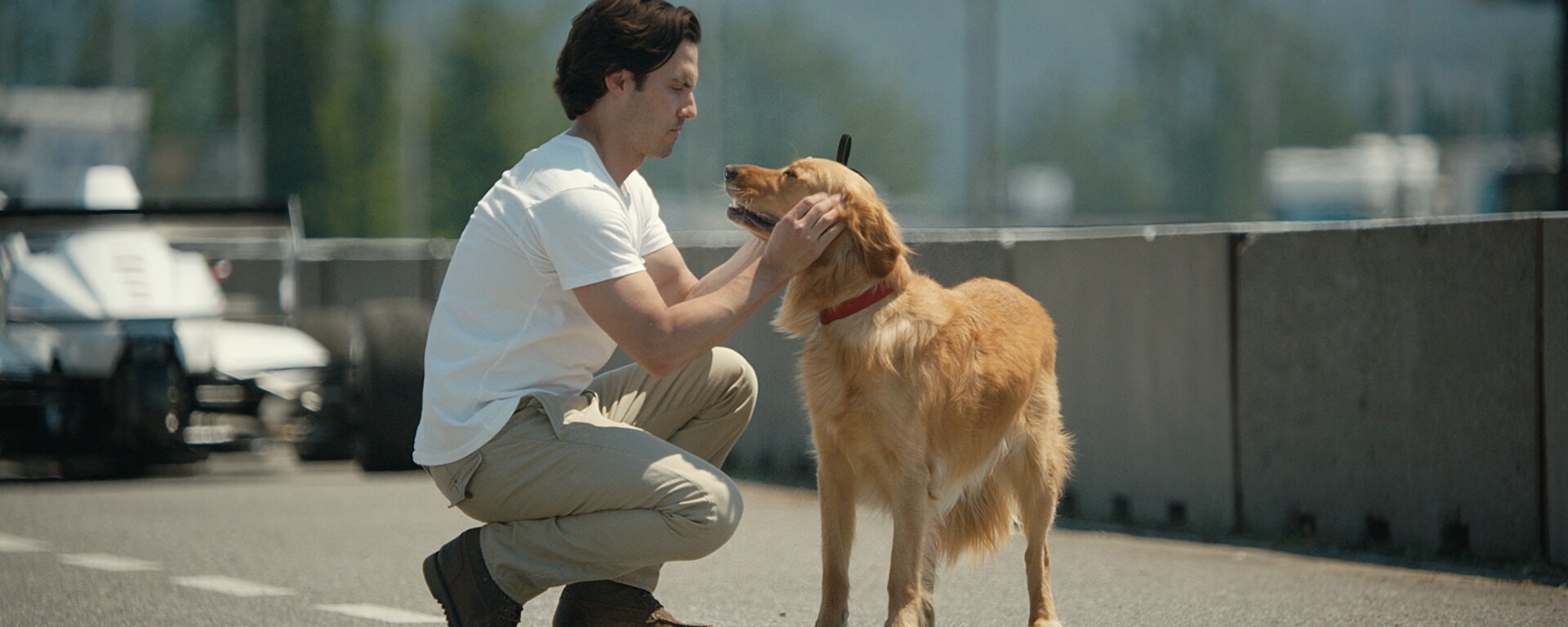 What to watch on Disney+ this March: New content dropping | Disney ...