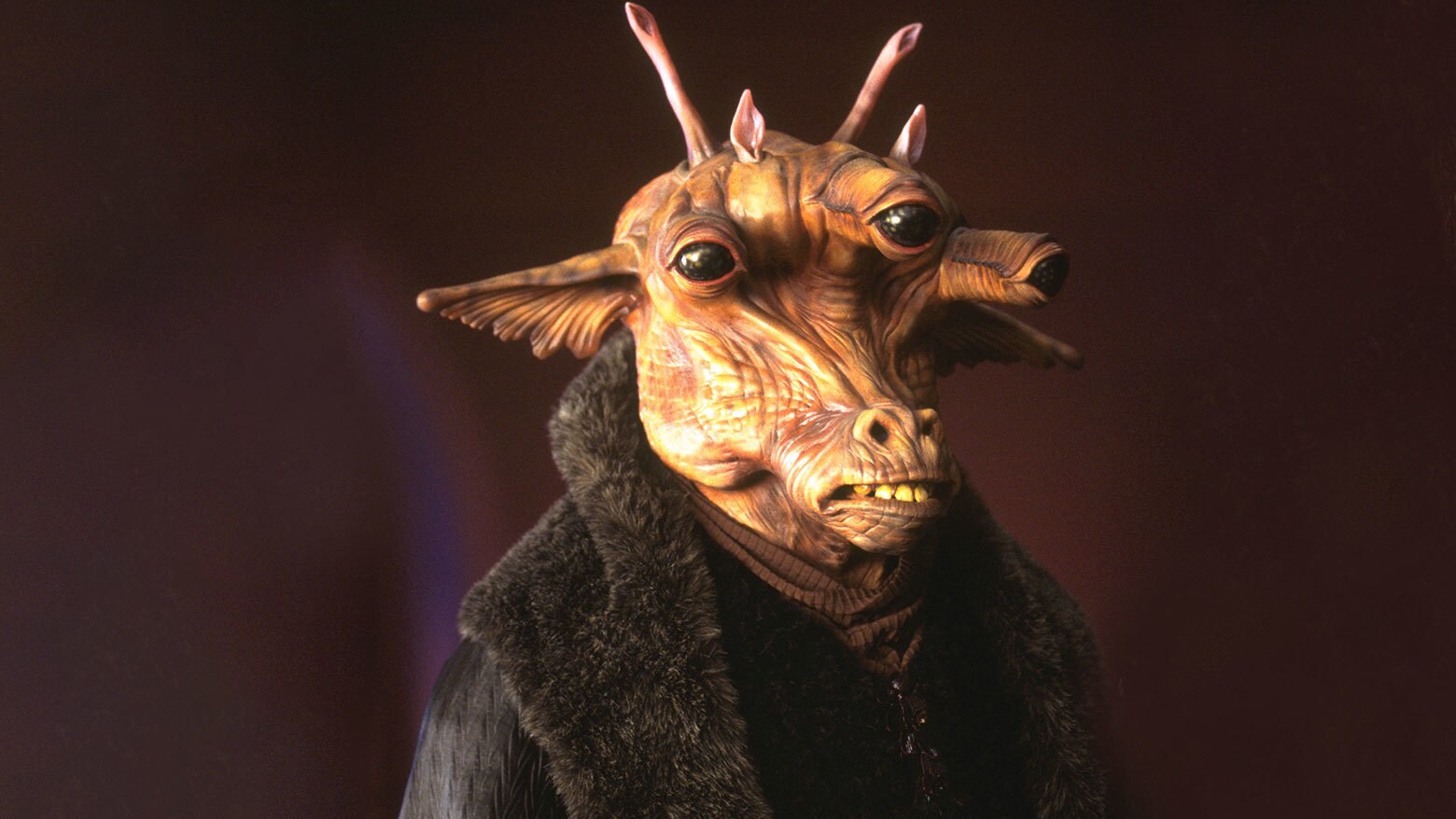 Ask Aak | Star Wars Databank | StarWars.com