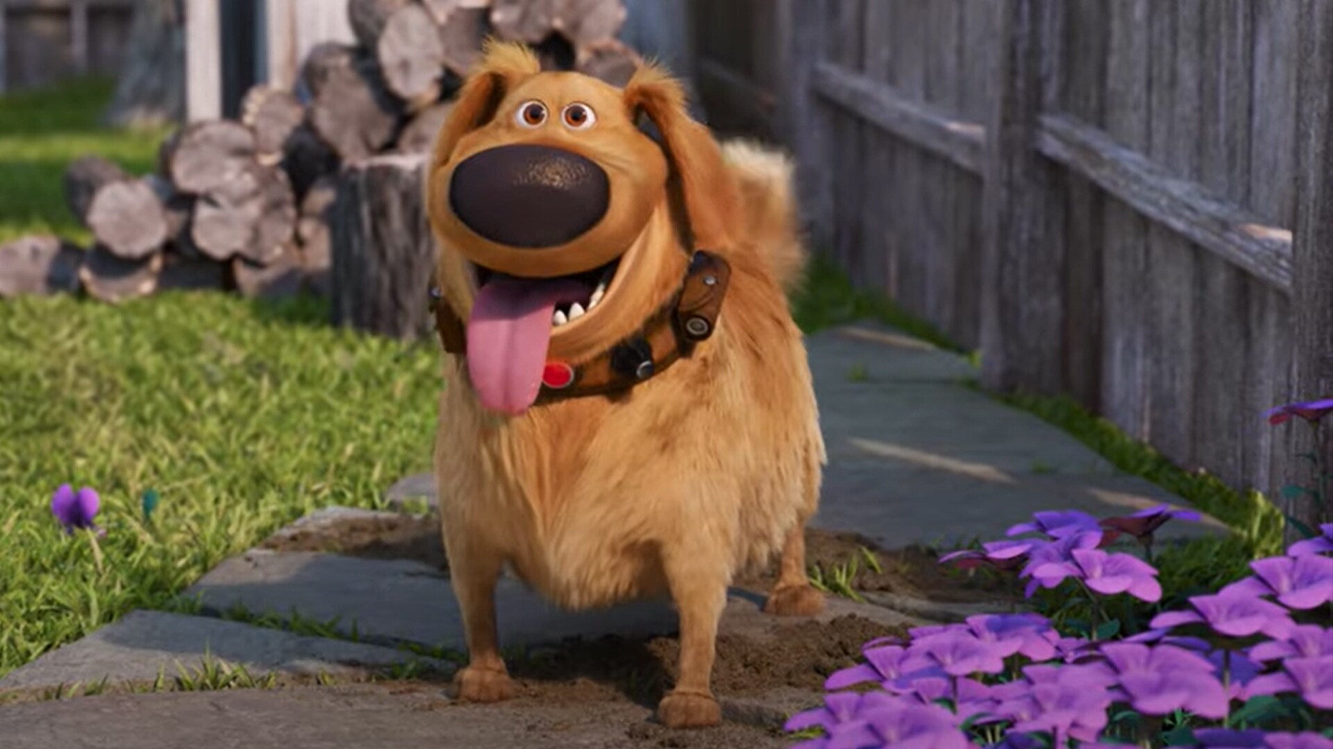 Disney Australia & NZ | The Official Home For All Things Disney