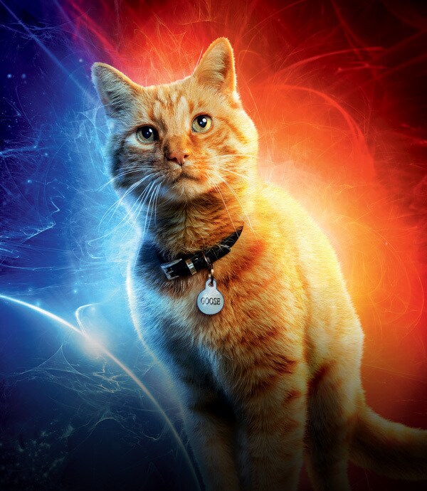 Disney Australia & NZ | The Official Home For All Things Disney