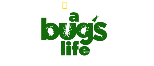 A Bugs Life Logo