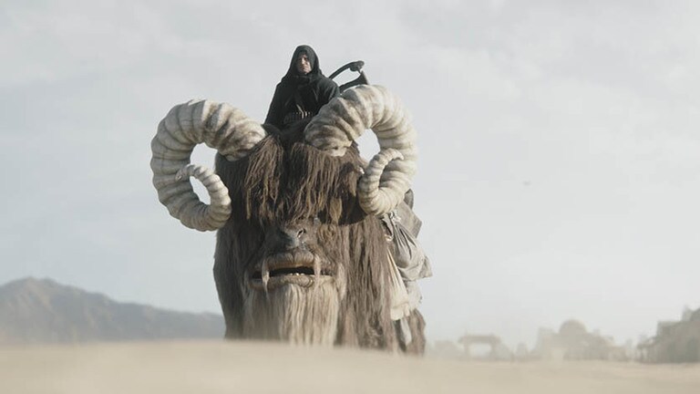 Bantha | StarWars.com