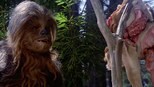 Poll: What Is Chewbacca's Greatest Moment So Far? | StarWars.com