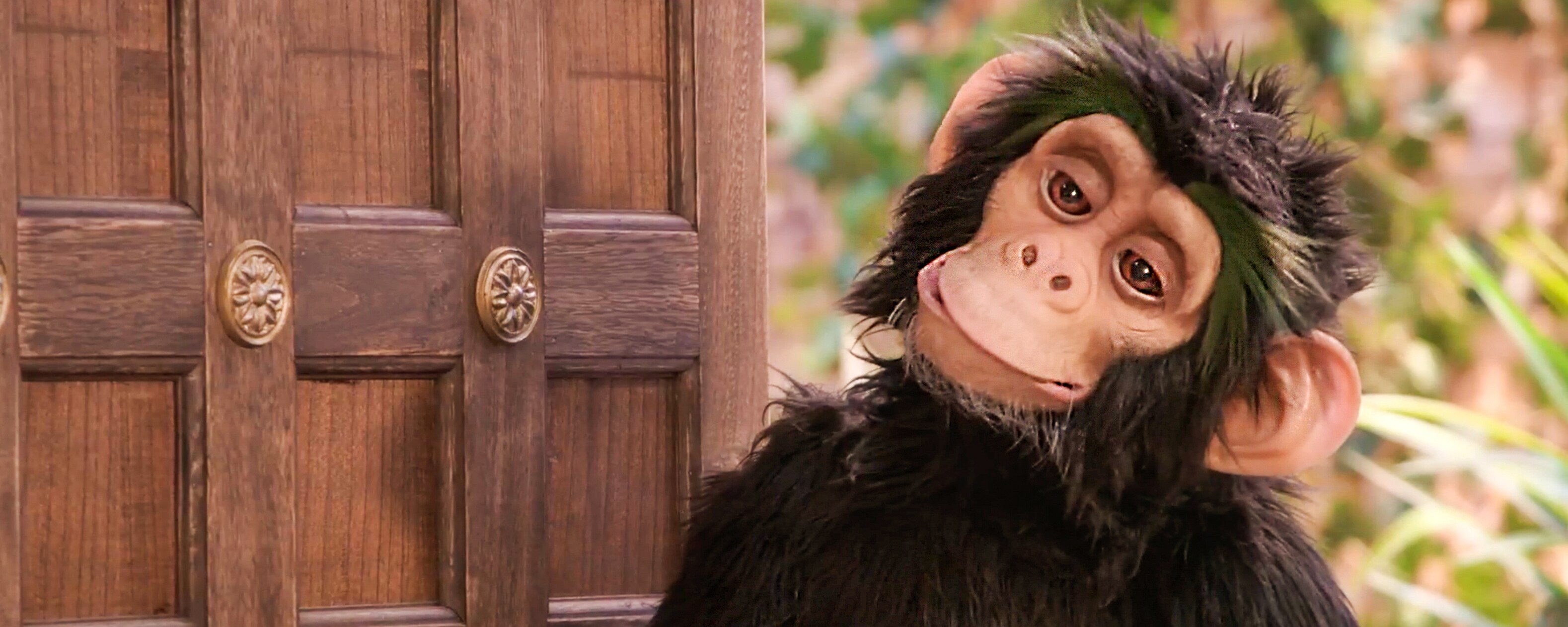 ¿Cuánto tiempo llevó crear a Chueco?: los 3 datos curiosos del detrás ...