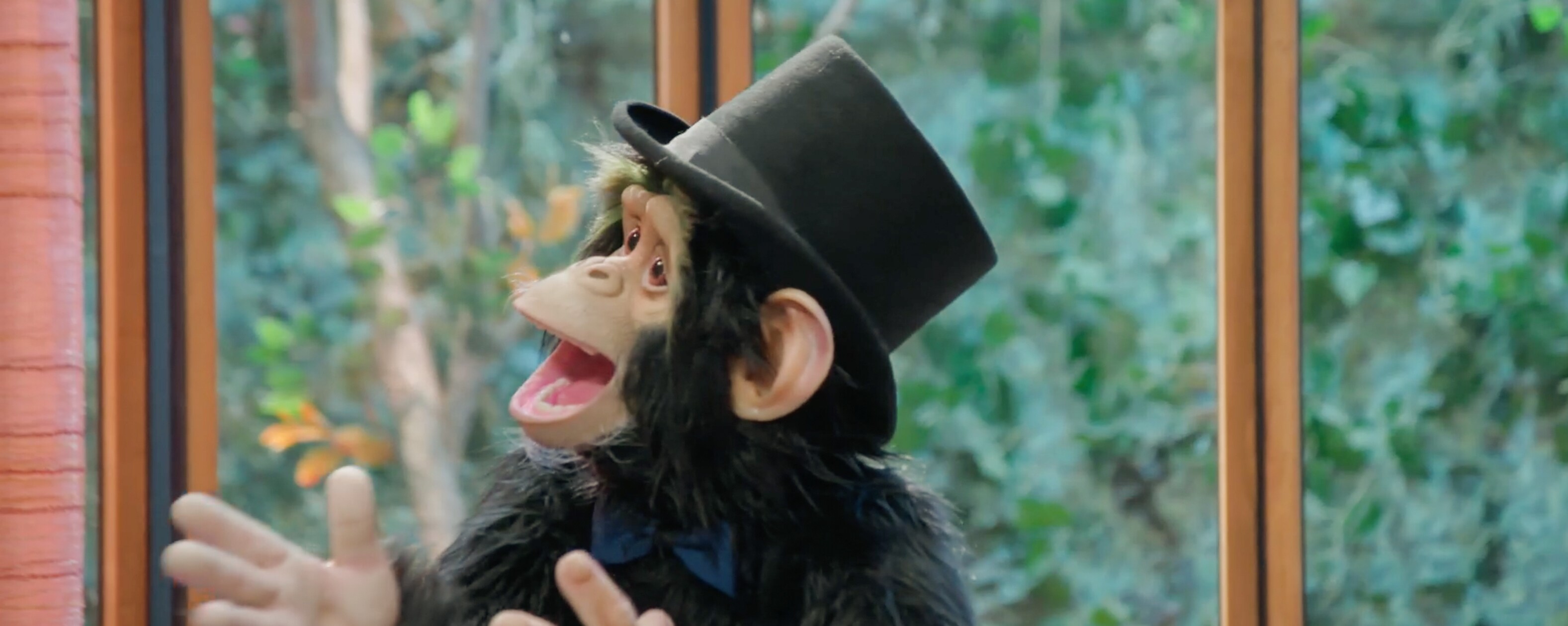 'C.H.U.E.C.O'.: cómo cobró vida el chimpancé interpretado por Agustín ...