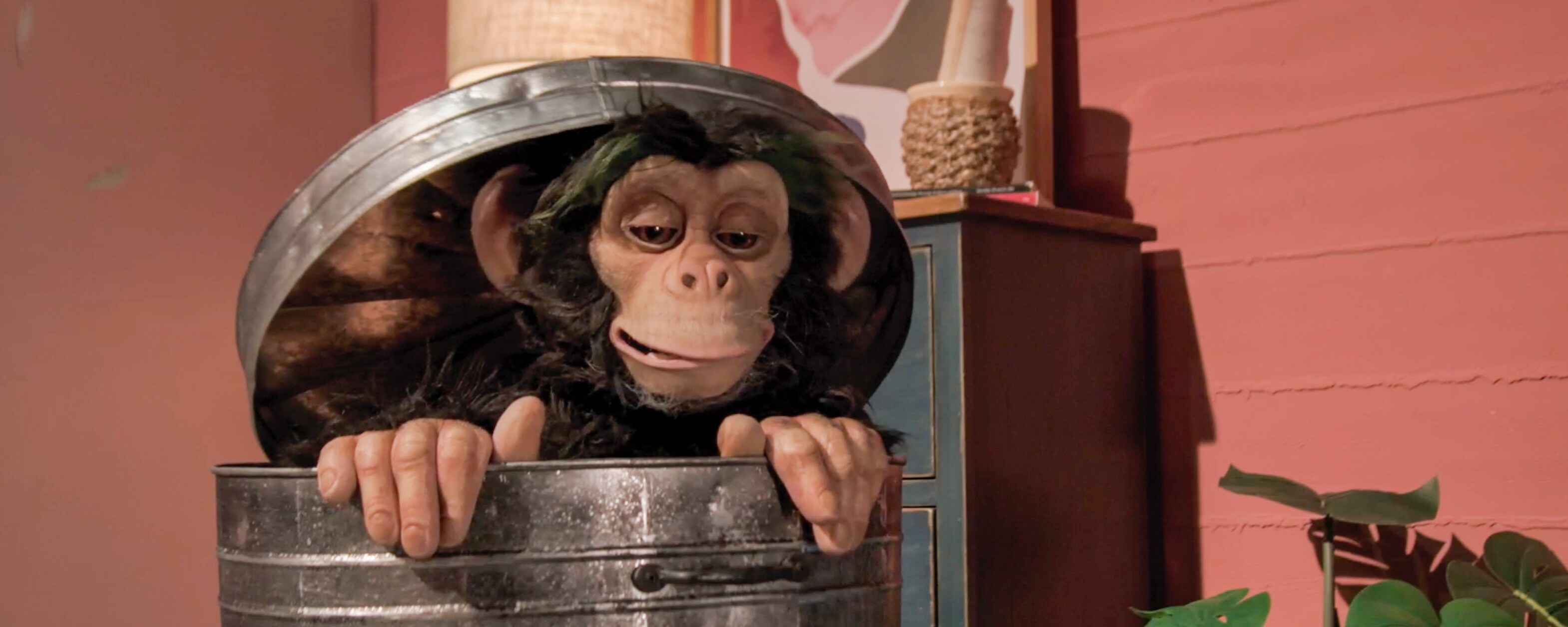 'C.H.U.E.C.O': cuáles son los capítulos favoritos de los protagonistas ...