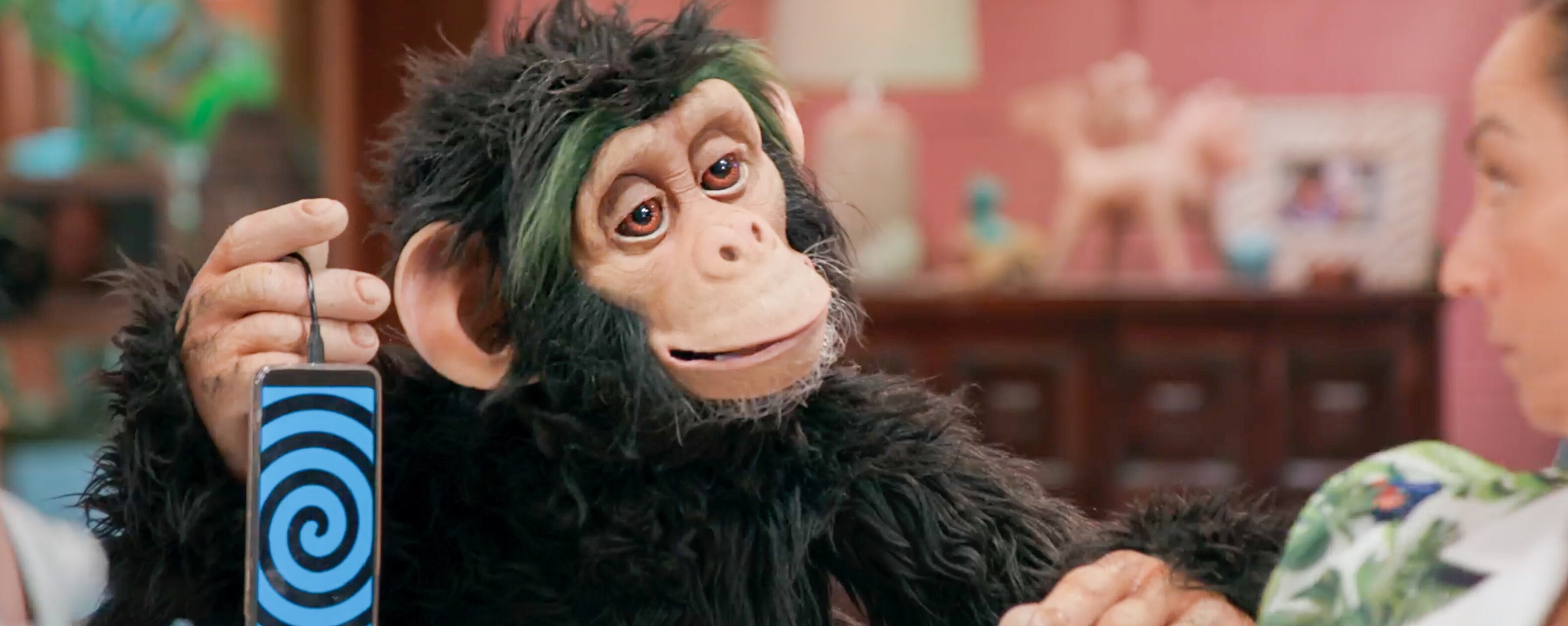 'C.H.U.E.C.O.': conoce la historia del divertido chimpancé que habla ...