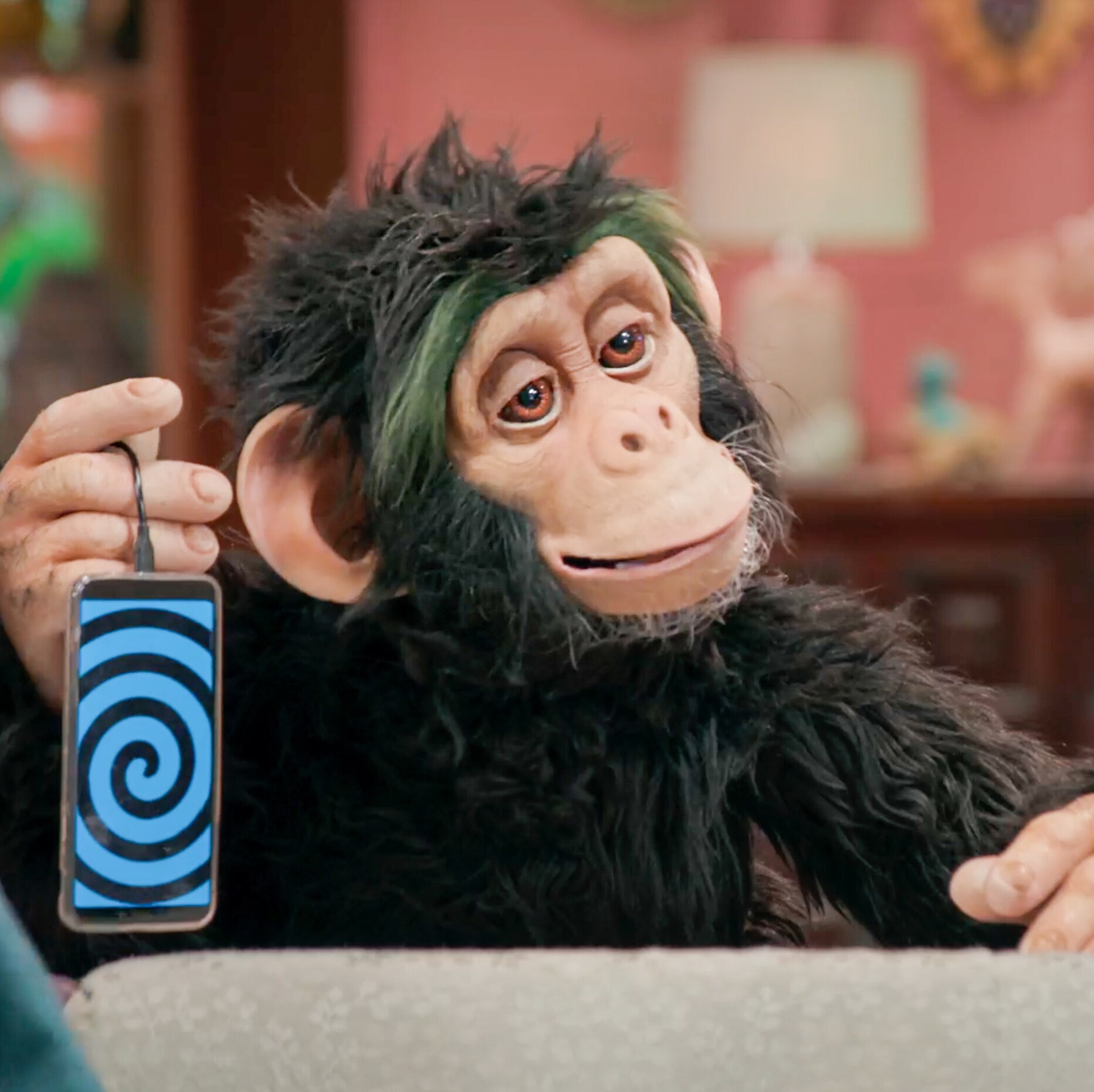 'C.H.U.E.C.O.': conoce la historia del divertido chimpancé que habla ...