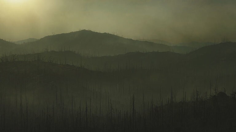 Corvus | StarWars.com