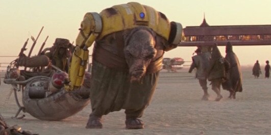 Crusher Roodown | StarWars.com