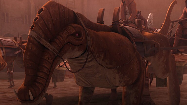 Dalgo | StarWars.com