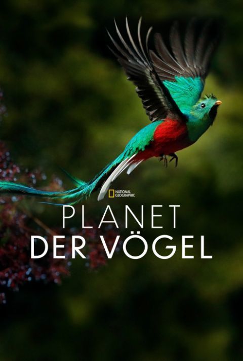 Disney Deutschland | Offizielle Website