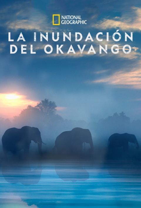 Disney España | El sitio oficial de todas las cosas Disney
