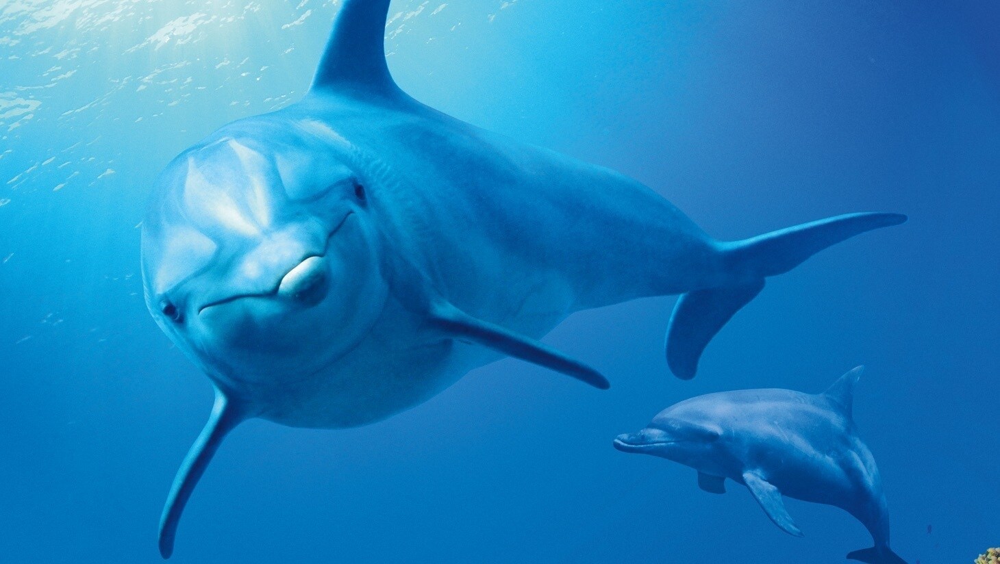 Disney UK | The Official Home For All Things Disney