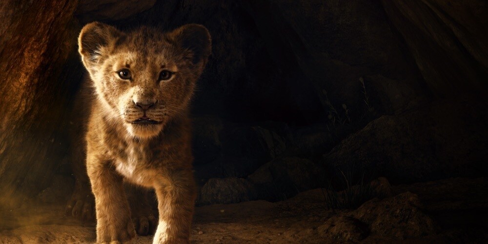 Disney.fr | Le site officiel de l’univers Disney