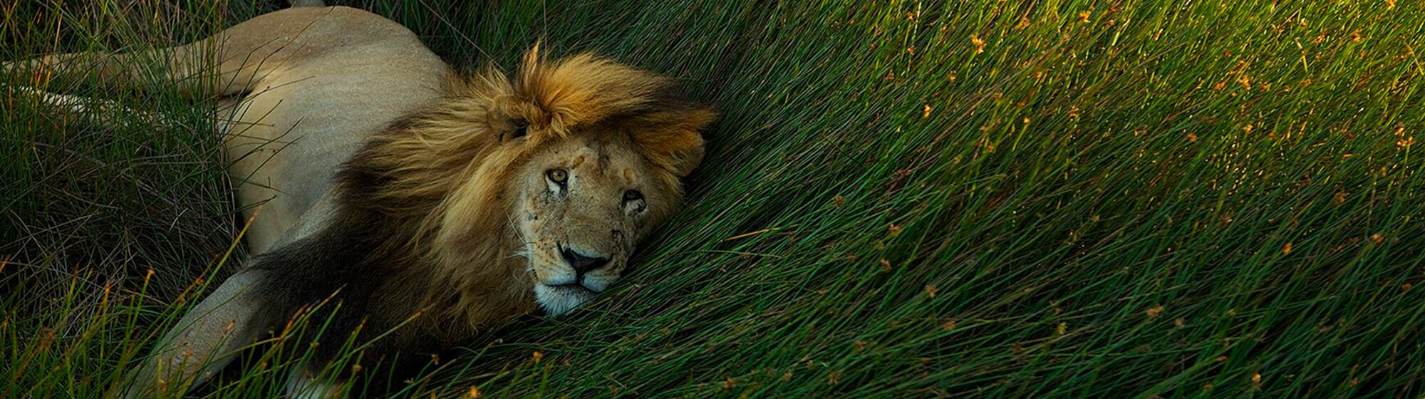 Disney UK | The Official Home For All Things Disney