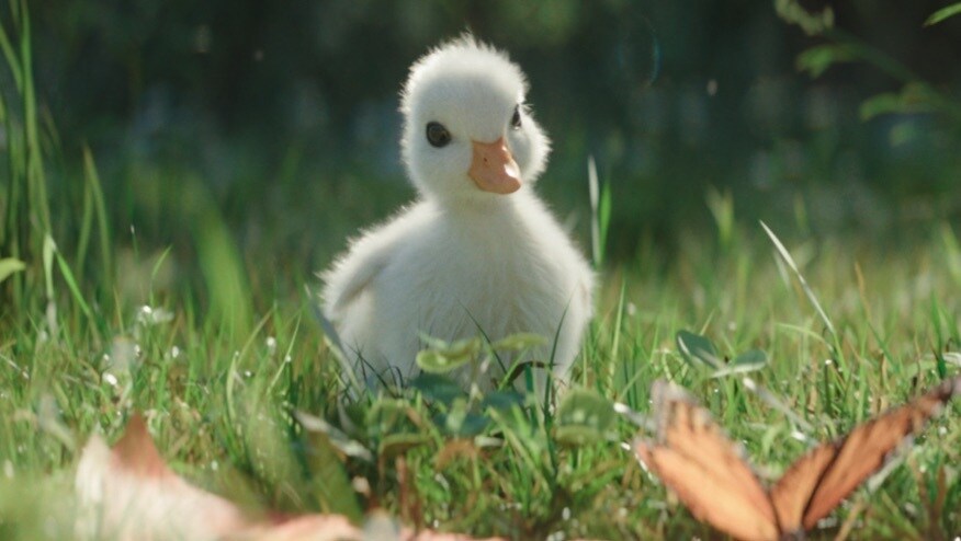 Disney UK | The Official Home For All Things Disney