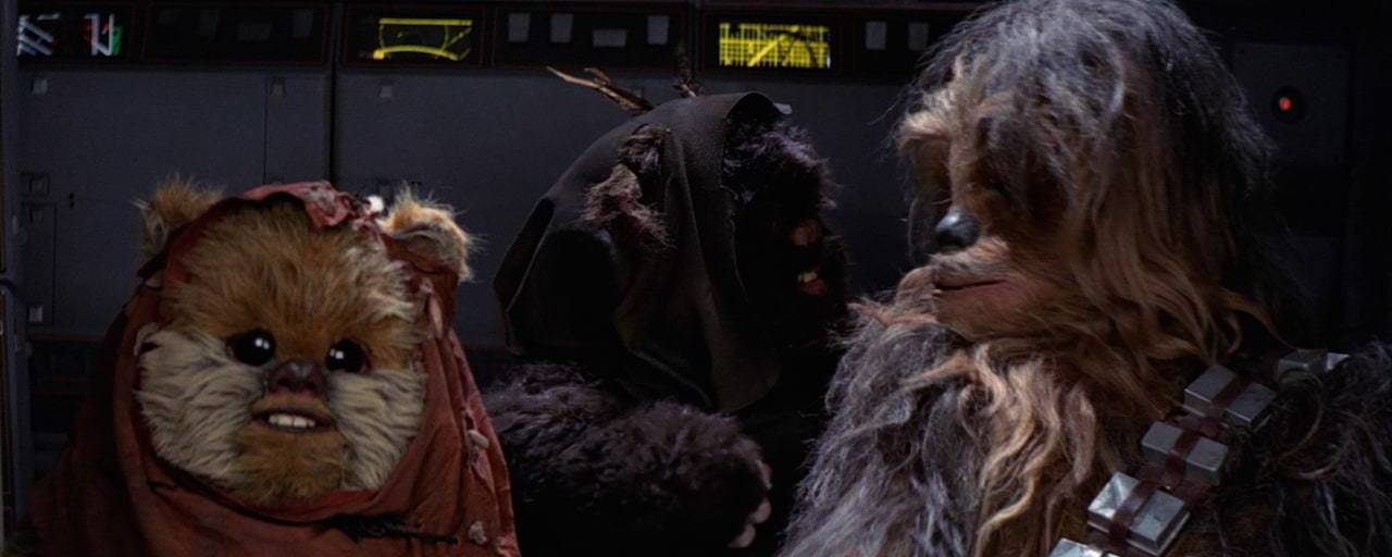 Star Wars: ¿Qué es un Ewok? | Disney Latino