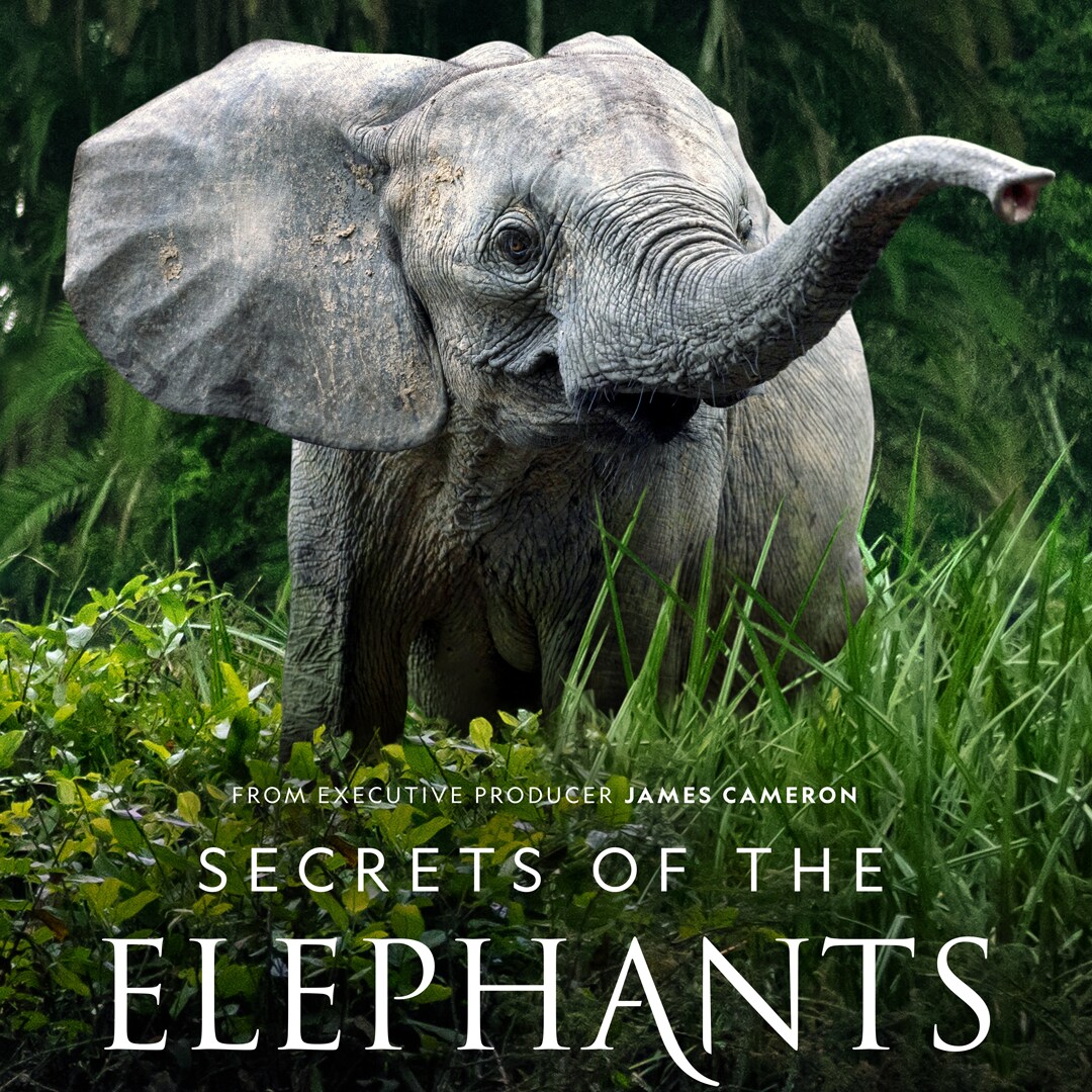 disney secrets documentary