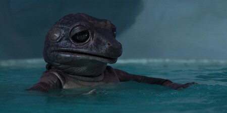 Quiz: Which Star Wars Character Is Most Like Your Mom? | StarWars.com