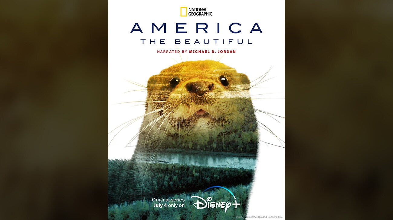 America The Beautiful Poster