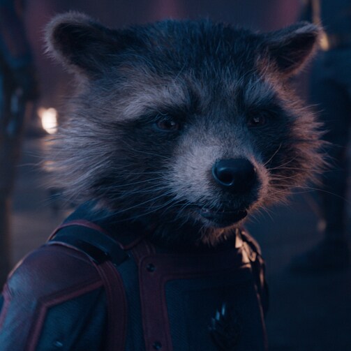 Guardiões da Galáxia Vol. 3: os 4 momentos em que Rocket emocionou os ...