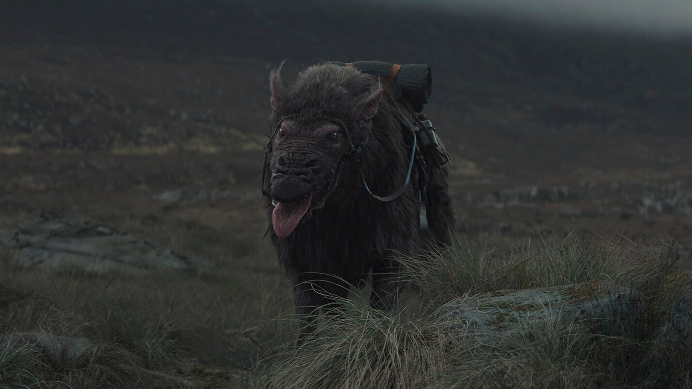 Howler | Star Wars Databank | StarWars.com