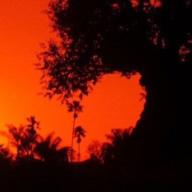 Get Lost In These Photos of Disney Parks At Sunset | Disney News