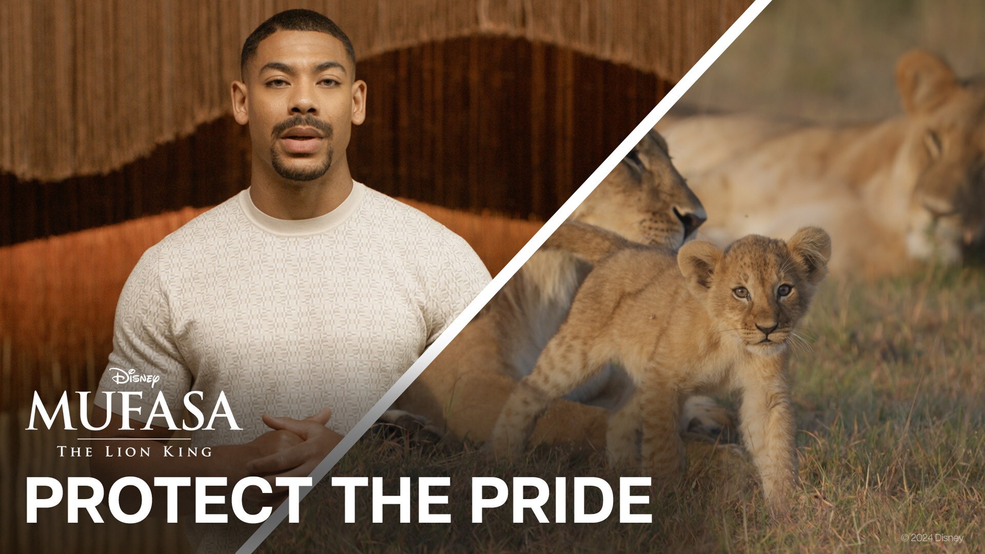 Lion King Protecting The These Heroic Animals Protect Humans We Must