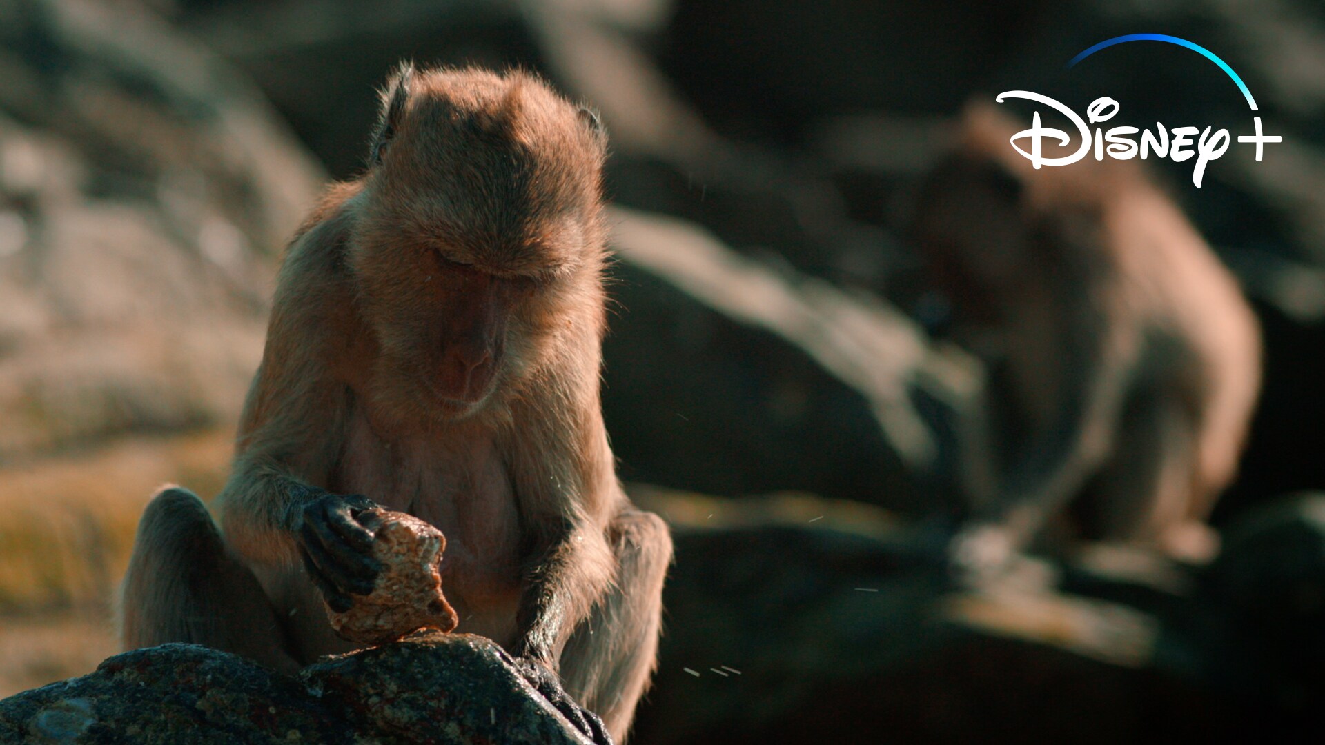 Disney's Frozen "Let It Go" Sequence Performed by Idina Menzel | Disney ...