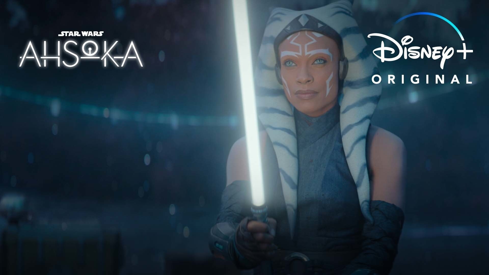 Fix It Felix And Sergeant Calhoun Costume