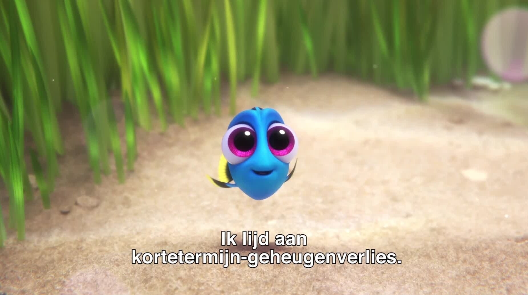 Finding Dory (2016) Film - Officiële Nederlandse Disney Pixar-site
